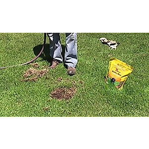 X-Seed Quick and Thick Dog Spot Lawn Repair Mix, 1.75-Pound