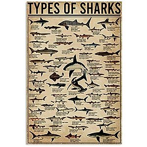 Types of Shark Metal Tin Sign nowledge Graph Fun World Education Science Classroom Infographic Poster Painting for Great Gifts and Decorative Door Wall School Farm Hospital Retro Poster 12x8 Inch