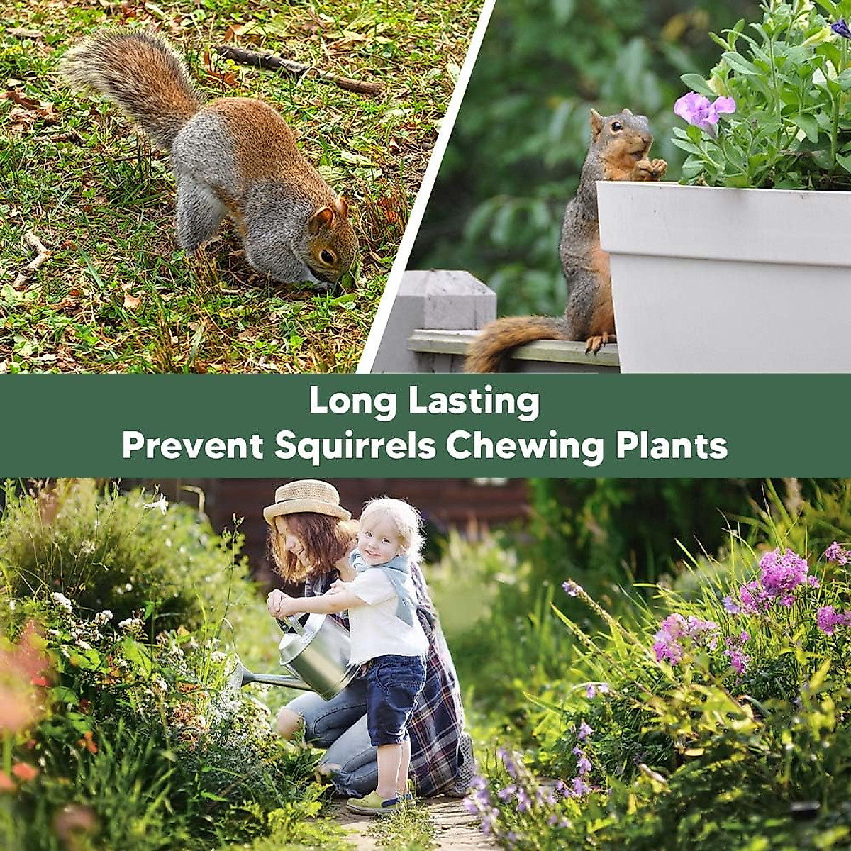 Two Bros. Repellent Squirrel Repellent Outdoor,Chipmunk Repellent Outdoor,Squirrel Repellents Indoor,Squirrel Deterrent,Natural Squirrel Repellent for Bird Feeders/Garden/Attic/Shed -10P, black