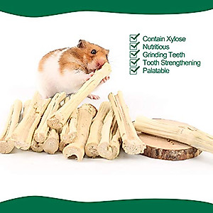 BWOGUE 100g Pet Snacks Sweet Bamboo Chew Toy for Squirrel Rabbits Guinea Pigs Chinchilla Hamster (About 10-14 Sticks)