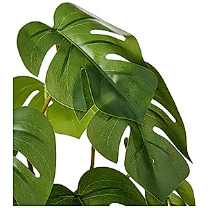 Amazon Basics Artificial Monstera Plant with Plastic Nursery Pot, 13-Inch
