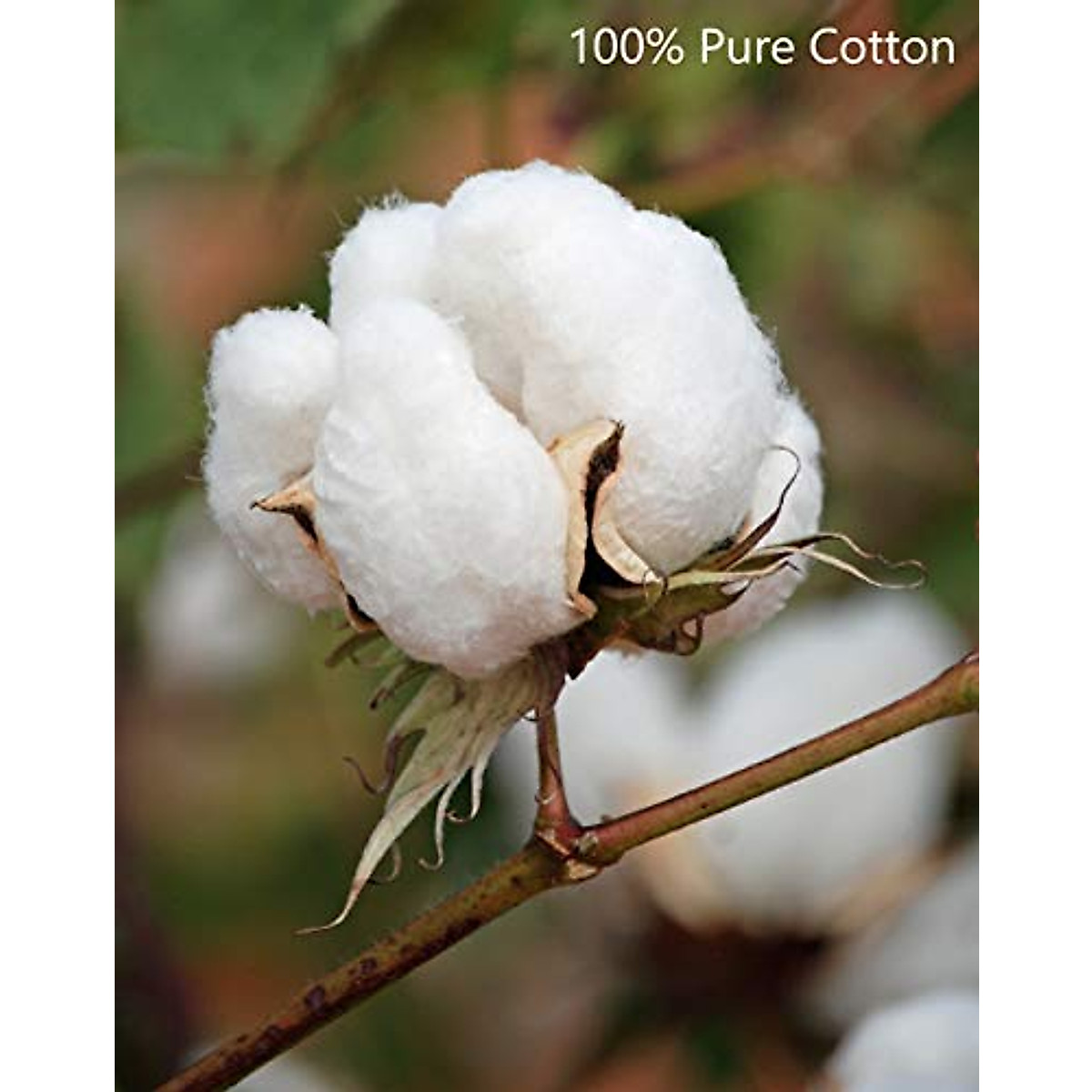 GLAMBURG 100% Cotton Bed Blanket, Breathable Bed Blanket King Size, Cotton Thermal Blankets King Size - Perfect for Layering Any Bed for All Season - Sky Blue