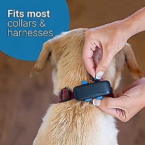 Tractive GPS Tracker for Dogs - Waterproof, GPS Location & Smart Pet Activity Tracker, Unlimited Range, Works with Any Collar (Midnight Blue)