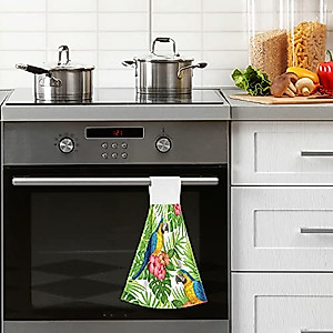 DJYQBFA Floral Bird Macaw Parrot Kitchen Towels Absorbent Hanging Kitchen Towels with Loop Set 2 Pcs Hanging Kitchen Towels for Bathroom Laundry Room Decor