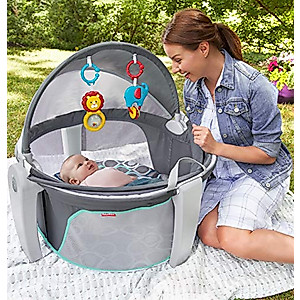 Fisher-Price On-the-Go Baby Dome Bubbles, travel portable play space and napping spot with canopy [Amazon Exclusive]