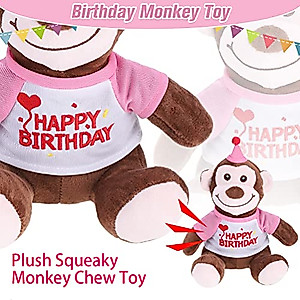 EXPAWLORER Dog Birthday Bandana Set - Cute Hat and Squeaky Monkey Toy for Birthday Party Supplies Gift - Great for Small Medium Large Dogs