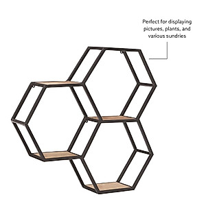 Powell Furniture Linon Josia Iron and Wood Wall Storage and Display Shelves in Black