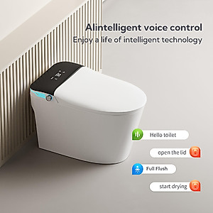 Luxury Smart Toilet with Bidet Built In Bidet Toilet Heated Seat, Foot Sensor,Warm water and Air Dryer,Voice Control, 1.28 GPF Powerful Auto Flush, Instant Hot Water and Ambient Lighting-Black