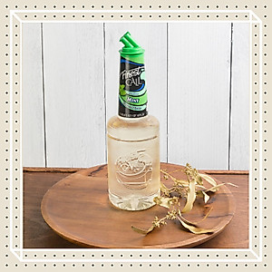 Finest Call Premium Mint Flavored Syrup Drink Mix, 1 Liter Bottle (33.8 Fl Oz)