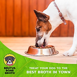 Brutus Vegetable Broth for Dogs 192 oz | All Natural | Made in USA |Omegas & Turmeric for Healthy Skin & Coat |Human Grade Ingredients |Hydrating Dog Food Topper, Gravy & Treat Salmon 6-Packs