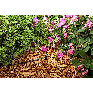 Rain Bird MBH4PKS Drip Irrigation Micro-Bubbler on Stake, 180° Half Circle Pattern, 0 - 3' Spray Distance, 4-Pack