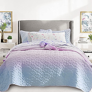 SCHNAUZER HOME Quilt Set Twin Size 2 Piece, Bailey Printed Bedding Coverlet Set, Lightweight Soft Reversible Bedspread Sets for All Season (1 Quilt & 1 Pillow Shams)