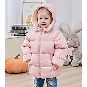 TUONROAD Toddler Coats for Girls 24 Months Baby Winter Puffer Jackets 2T 3T Kids Thicken Fleece Down Alternative Clothes 2 3 Years Cute Princess Birthday Dressing Up Zipper Hoodies Sweatshirts