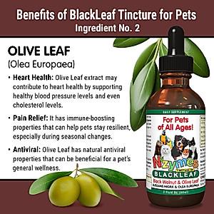 BlackLeaf Tincture for Pets