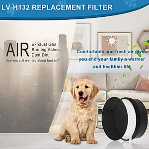 LV-H132 Replacement Filter