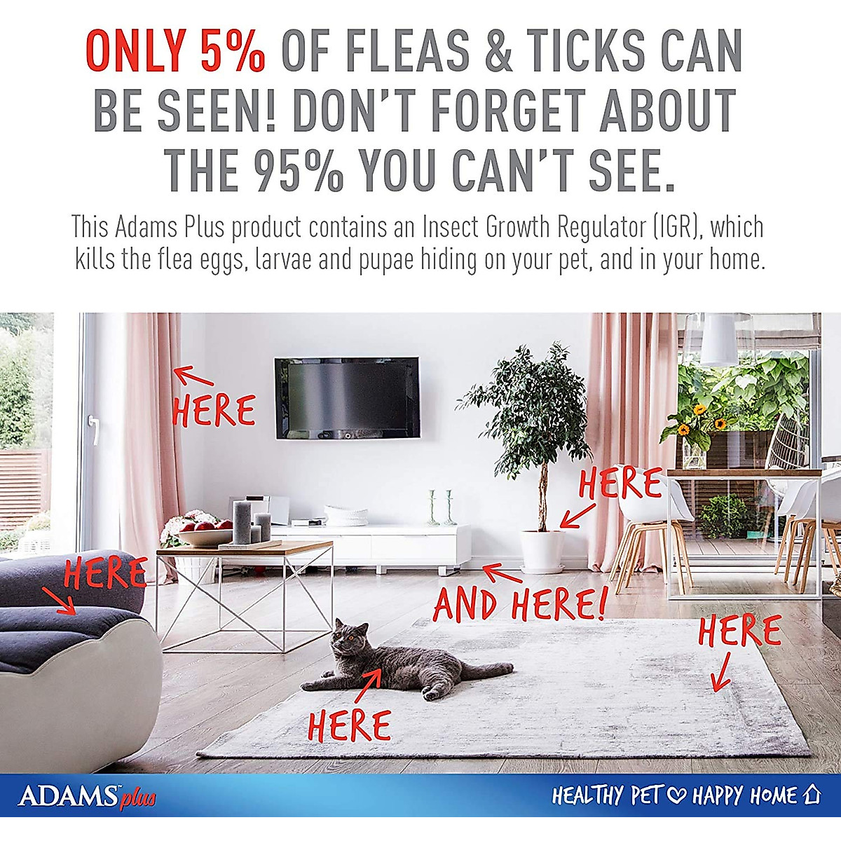 Adams Flea & Tick Spray Plus Precor 16 oz - Pack of 3