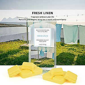 Scented Wax Melts, Wax Melts Wax Cubes, Soy Wax Cubes for Warmer Wax Melts Gift Set Ocean Breeze, Fresh Linen, Bohemia Forest, Winds in Summer (4 x 2.5oz)