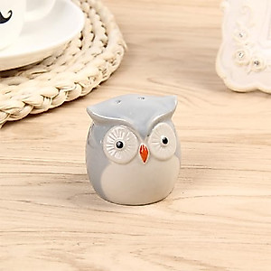 WAIT FLY Owl Shape Ceramic Salt and Pepper Shakers Home Kitchen Decoration-Gray-Set of 2