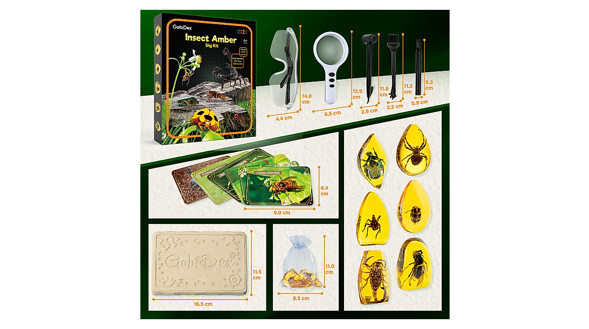Amber Dig Kit for Kids Age 6+ | STEM Excavation & Bug Collection