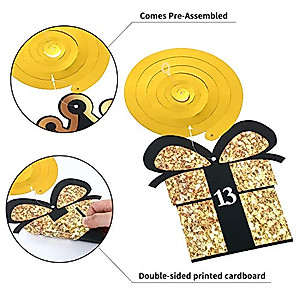 Frienda Birthday Party Hanging Swirls Decorations, Ceiling Decorations Shiny Celebration Hanging Swirls Decorations for Birthday Party Supplies, 30 Count (13th Birthday)