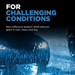 Wagner Lighting H5006 Standard Multi-Purpose Light Bulb Box of 1