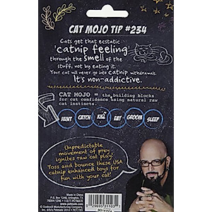 Petmate Jackson Galaxy Puma Paw with Catnip Ball, Model:31103, 2 Balls