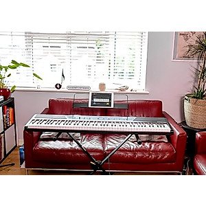 Alesis Recital – 88 Key Digital Piano Keyboard with Semi Weighted Keys, 2x20W Speakers, 5 Voices, Split, Layer and Lesson Mode, FX and Piano Lessons