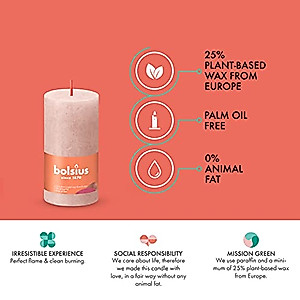 BOLSIUS 4 Pack Misty Pink Rustic Pillar Candles - 2 X 4 Inches - Premium European Quality - Natural Eco-Friendly Plant-Based Wax - Unscented Dripless Smokeless 30 Hour Party Décor and Wedding Candles