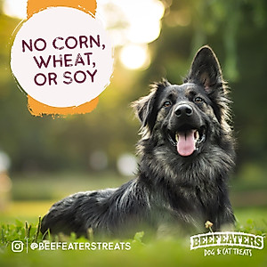 Beefeaters Dog Treats - 4in Bully Sticks 2oz | All-Natural, Highly Digestible | Dog Food Promotes Dental Health | No Additives or Preservatives | Training Treats for All Dog Sizes