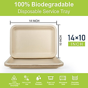 BangShou 14 Inch Disposable Food Trays, 10 Pack 100% Biodegradable, Heavy-Duty Food Crawfish Trays, Compostable Plates Extra Large Paper Plates For Crawfish, BBQ, Party, Serving Platter