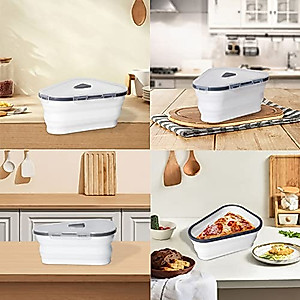 Pizza container, Silicone pizza container, 5 plate pizza container, Reusable pizza storage, Expandable pizza container