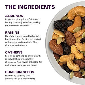 Power Up Premium Trail Mix - Protein Packed 14oz, No Added Sugar, Made Without Peanuts, Gluten Free, Vegan, Non-GMO