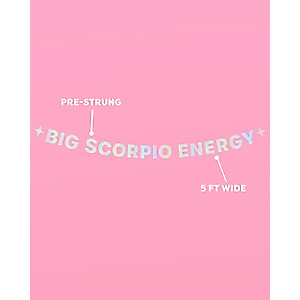 xo, Fetti Big Scorpio Energy Birthday Party Iridescent Foil Banner - 5 Ft. | Zodiac Scorpio, Horoscope, Astrology Bday Party Decorations Gift