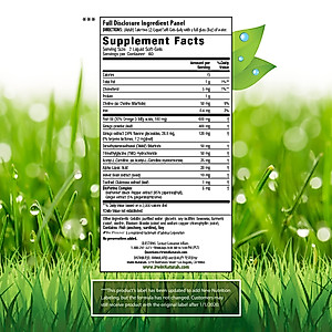 Irwin Naturals Ginkgo Smart Powerful Nootropic Brain Booster - Supports Maximum Memory, Focus & Mental Clarity with DMAE, Clubmoss, Choline & Acetyl L-Carnitine - 120 Liquid Softgels