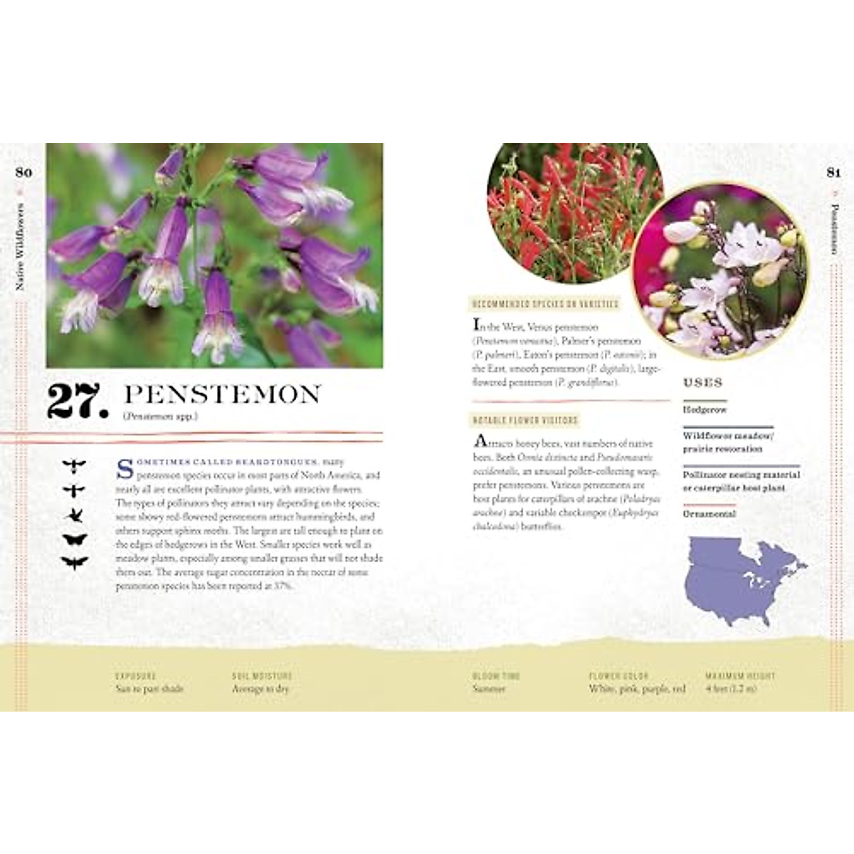 100 Plants to Feed the Bees: Provide a Healthy Habitat to Help Pollinators Thrive