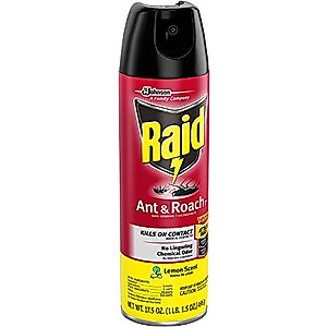 Raid Ant & Roach Killer Lemon Scent, 17.5 OZ (12)