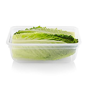 Snapware Total Solution 8.5-Cup Plastic Food Storage Container with Lid, 8.5-Cup Rectangular Meal Prep Container, Non-Toxic, BPA-Free Lid with 4 Locking Tabs, Microwave, Dishwasher, and Freezer Safe