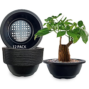 MUZHI 12 Pack Matte Finish Black Round Bonsai Bowl Planter Pot with Drainage, Plastic Garden Low Planter Pots 7.8"