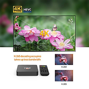Android 10.0 TV Box, TUREWELL Android Box Super 2GB RAM 16GB ROM Allwinner H3 Quad-Core Media Player Support 2.4GHz WiFi, 3D 4K H.265 Smart TV Box