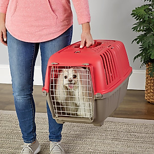 MidWest Homes for Pets Spree Travel Pet Carrier, Dog Carrier Features Easy Assembly and Not The Tedious Nut & Bolt Assembly of Competitors, Red, 24-Inch Small Dog Breeds (1424SPR)