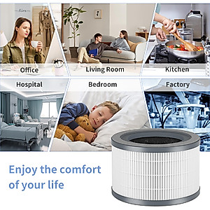 XBWW 2 Packs Vista 200 Replacement Filters Compatible with Levoit Vista 200 Air Cleaner Purifier with H13 True HEPA, Activated Carbon Filter and Nylon Pre-Filter, Part # Vista 200-RF