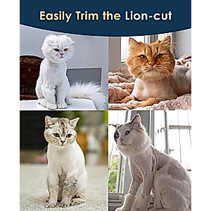 oneisall Cat Grooming Clippers for Matted Hair, 2-Speed Cat Grooming Kit Cordless Low Noise Pet Hair Clipper Trimmer for Dogs Cats Animals (Blue)