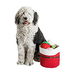 Christmas Santa Rope Basket (Small)