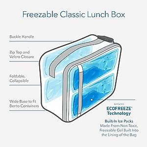 PackIt Freezable Lunch Box, Dino Fossils Neon, Built with EcoFreeze Technology, Collapsible, Reusable, Zip Closure, Perferct for Fresh Meals On the Go