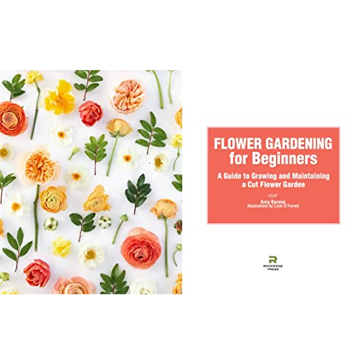 Flower Gardening for Beginners: A Guide to Growing and Maintaining a Cut-Flower Garden