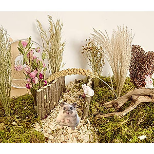 Hamster Bedding, Natural Hamster Bedding Flowers Herbs Cereal Grain For House Cage Habitat Enclosure Decor- Hamster Chews for Gerbils Mouse Rat Lemming Degus Guinea Pig or Small Animal Bedding Pets