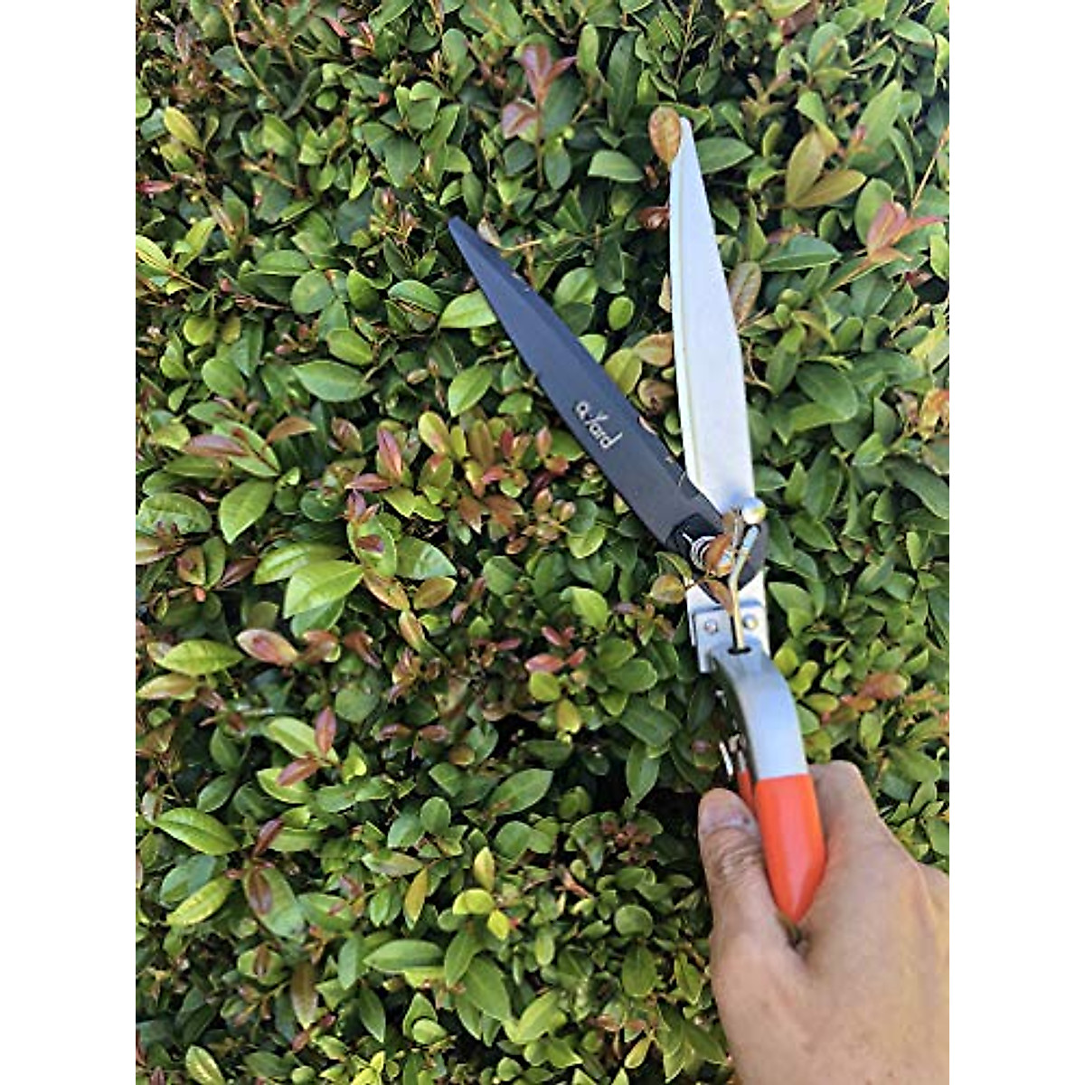 Q-yard QY-741F Flower Bed and Grass Shear - Extra Sharp Garden Hand Pruners, Easier Cutting, Comfortable Ergonomic, Less Effort - Gardening Scissors for Men & Women , Orange