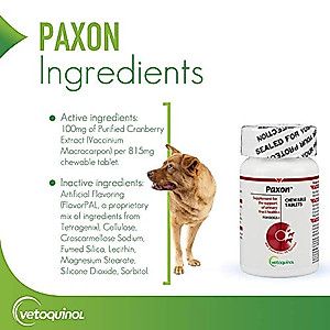 Vetoquinol Paxon Cranberry Urinary Tract Supplement for Dogs to Promote Urinary and Bladder Health