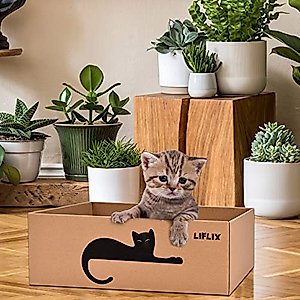 LIFLIX Cardboard Cat Scratcher with Box, 5PCS Reversible Cat Scratch Pads in Large Cat Scratcher Box, Cat Scratcher Lounge for Indoor Cats to Rest and Play, 16.5" ｘ12.6 ｘ5.9