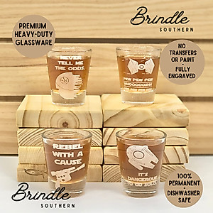 Brindle Southern Farms SW Etched Shot Glass Set of 4: Sci-fi Space Star Noises Wars Shot Glasses